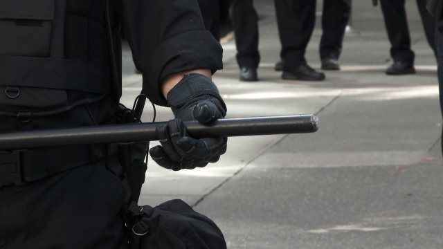 فوتیج تیم پلیس در حال انجام عملیات 3JXVHSR Police Team Standing At ...