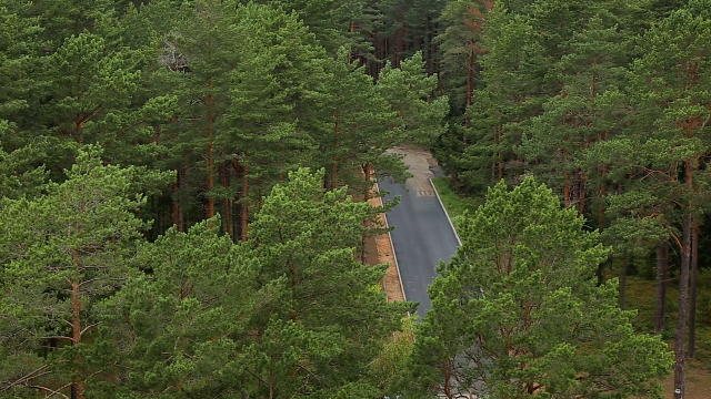 استوک فوتیج عبور ماشین از جاده جنگلی 37312 Car Passing By Asphalt Road Deep In The Forest